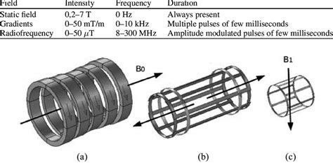 Fields Generated By Mri Component 2 Download Scientific Diagram