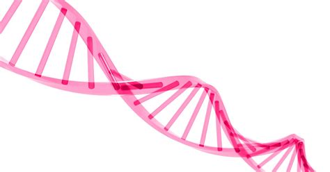Study Your Genes Can Influence When You Lose Your Virginity Time