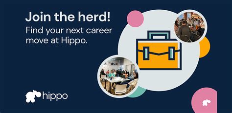 21 Vacancies - Hippo Digital Limited
