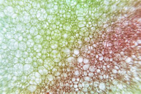 Chemical Structures Series Of Photographs Of Bubbles Abstract