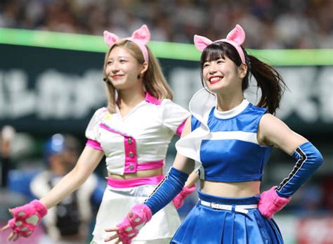 【日本ハム】ファイターズガールきつね耳からぶた耳に変身！ ハニーズと「よかよかダンス」披露 プロ野球 日刊スポーツ