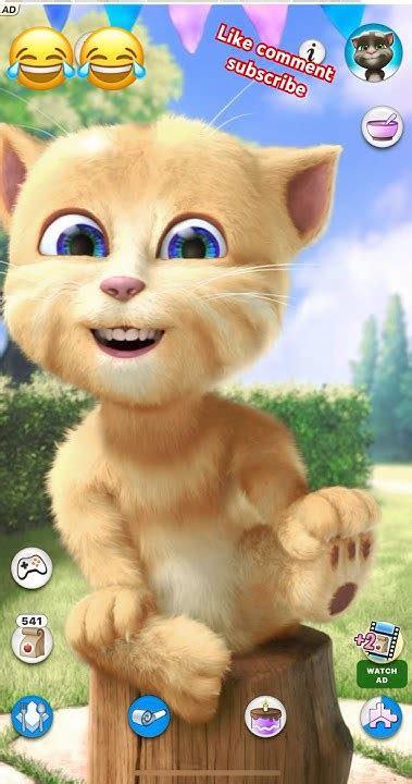 Catfun Talkingtom Catcompilation Cat Catvideos Funnytomcat Funny