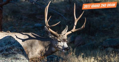 2017 Idaho Second Controlled Hunt Drawing List Gohunt The Hunting