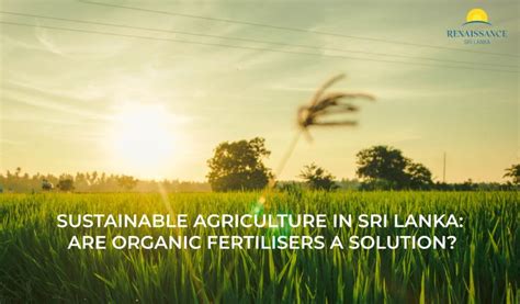 Neville Uditha Weerasinghe Posted On Linkedin