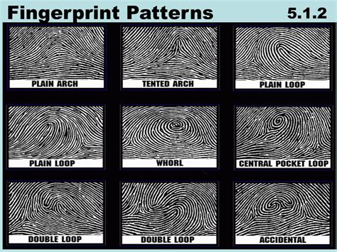 Ppt Fingerprint Classifications And Forensic Techniques Powerpoint