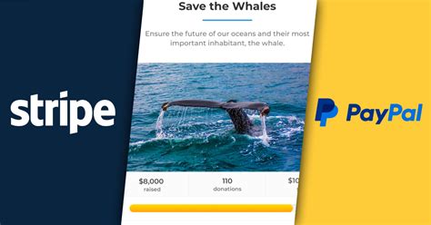 Stripe Vs Paypal For Online Fundraising Givewp