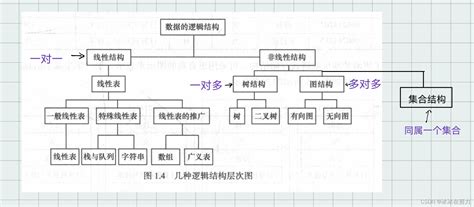 重庆邮电大学 802数据结构 绪论 Csdn博客