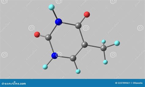 Thymine T Thy Nucleobase Chemical Formula And Skeletal Structure