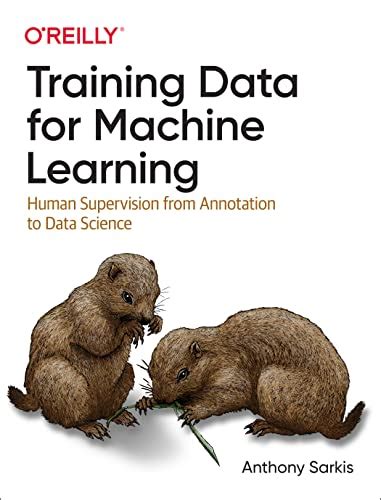 Training Data For Machine Learning Human Supervision From Annotation