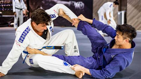 100 Brazilian Jiu Jitsu Wallpapers