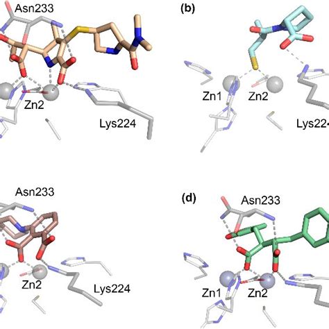 Binding Modes Of The Product And Intermediate Mimic Inhibitors Crystal
