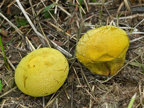 Nature Photography By Dragisa Savic