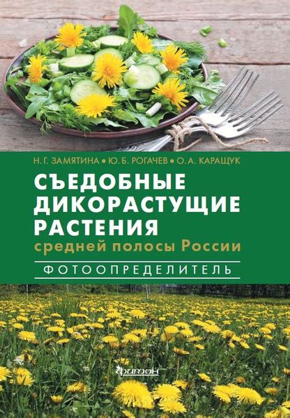 Съедобные дикорастущие растения средней полосы России. Фотоопределитель ...
