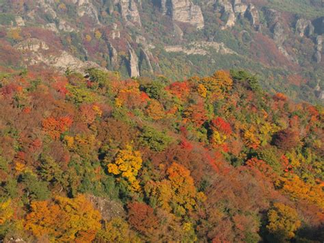 紅葉情報：第3弾 季節の情報 小豆島の観光なら寒霞渓ロープウェイへ／日本三大渓谷美「国立公園 寒霞渓」 小豆島観光