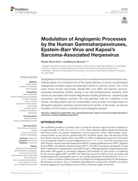 Pdf Modulation Of Angiogenic Processes By The Human