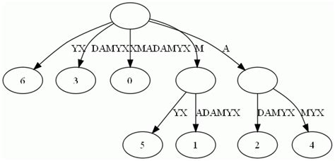 后缀树与最长回文 Csdn博客