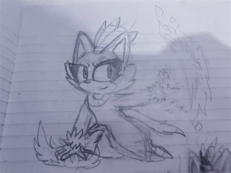 Some Badly Made Blazes Sonic The Hedgehog Amino