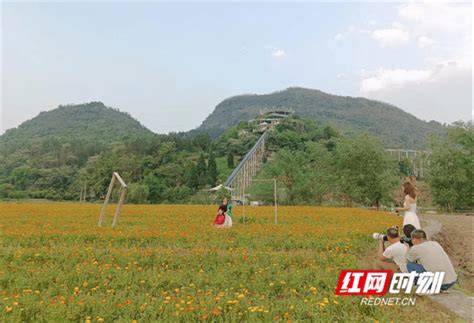 东安县：特色产业铺就乡村振兴路发展经济资源