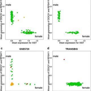 Application Of The Malefemale Classifier Application Of The Download Scientific Diagram