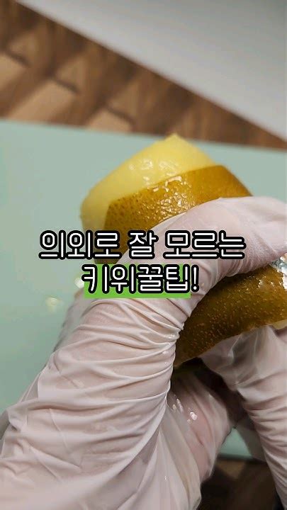 😛키위가한방에 쏙 의외로 잘모르는 키위꿀팁 꿀팁 키위 Youtube