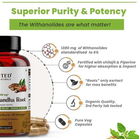 Rooted Active Natural Ashwagandha Root Extract Capsules Uses Price