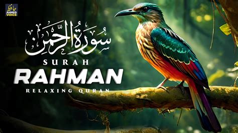 Surah Rahman Full سورة الرحمن Ep0049 World Most Heart Touching
