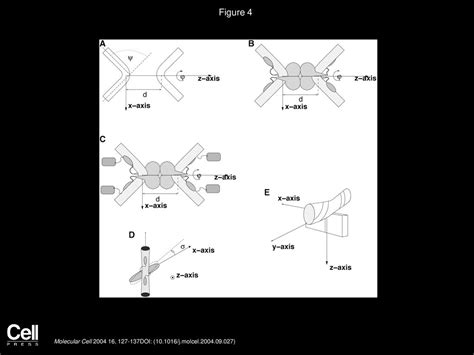 Marcelo Nöllmann Jiuya He Olwyn Byron W Marshall Stark ppt download