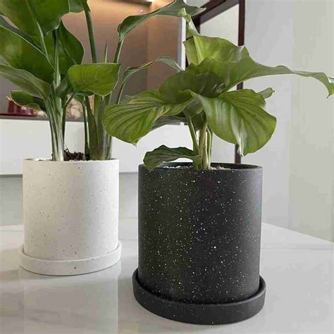 5 Tier Stackable Planter Review