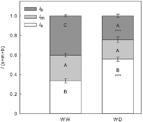 Quantitative Limitation Analysis Of Photosynthetic Co2 Assimilation Of