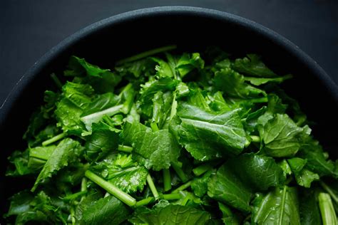 What Are Turnip Greens