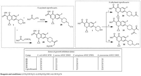 Advancements In Synthetic Strategies And Biological Effects Of Ciprofloxacin Derivatives A Review