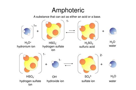 Chemical Reactions To Justify The Amphoteric Nature Of Water At Casey Hall Blog