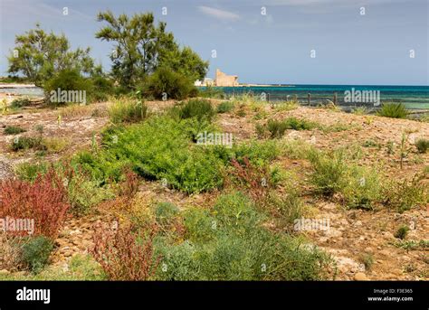 Vendicari Nature Reserve Riserva Naturale Orientata Oasi Faunistica Di