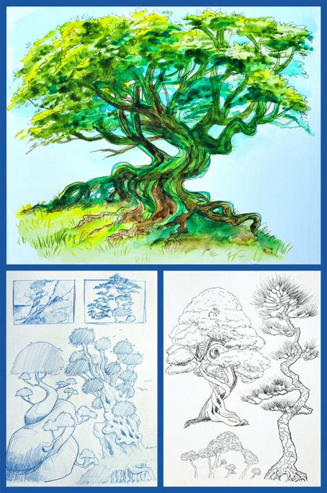 Portfolio Prep At Ringling College Art Portfolio Examples