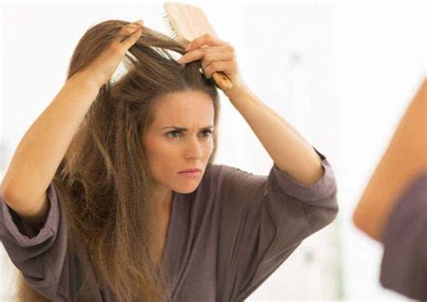How Do You Get Bed Bugs Out Of Hair At Gladys Roy Blog