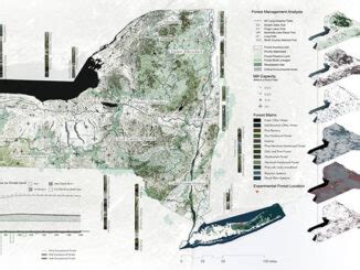 Biochar Archives World Landscape Architecture