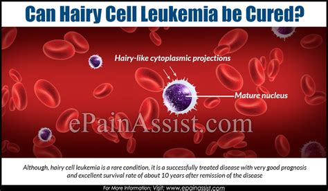Can Hairy Cell Leukemia Be Cured