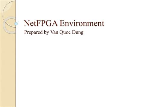 Netfpga Environment