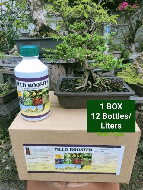 1 Box Yield Booster Foliar Fertilizer 12 Bottles Liters Lazada Ph