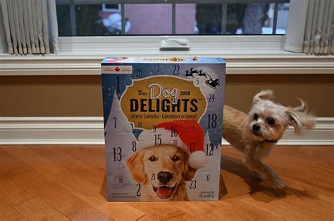 Bark Advent Calendar 2024 Lishe Celestyna