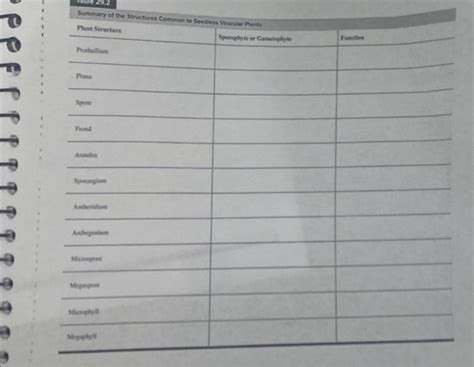 Solved Summary Of The Structures Common To Seedless Vascular