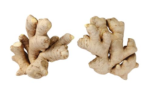 Ginger 4 Models Flippednormals