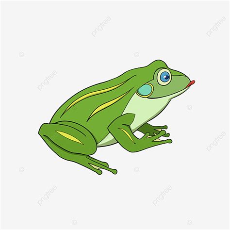 رسم كاريكتوري، مخطط الضفدع Clipart الضفدع قصاصة فنية نمط زخرفي نسيج