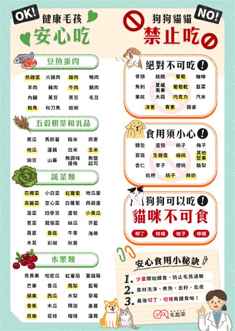 【毛孩食材懶人包】狗貓究竟能吃哪些食物？百種食材清單1秒教你分辨！ 毛起來 Maoup