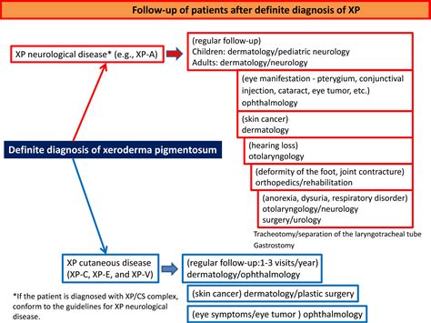 Xeroderma Pigmentosum Clinical Practice Guidelines Moriwaki 2017