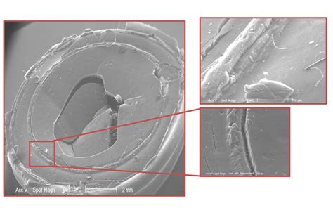 6 Scanning Electron Microscope Images Showing The Cracks Caused By The