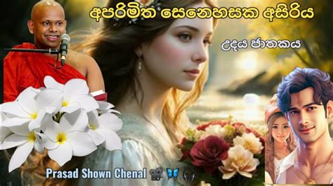 අපරිමිත සෙනෙහසක අසිරිය ️🌸 Youtube