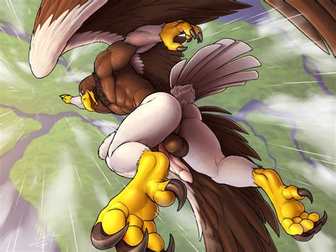 Rule 34 Accipitrid Accipitriform Anthro Avian Balls Bird Claws Eagle Flying Genitals
