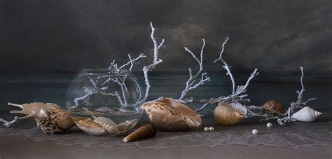 Натюрморт с ракушками у моря