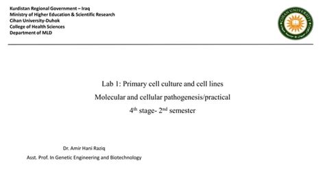 1 Primary Cell Culture And Cell Lines Pdf